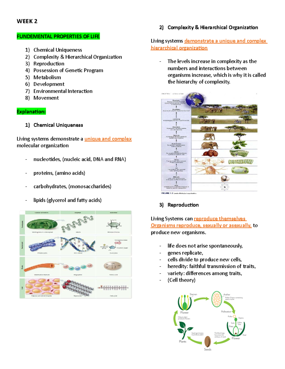 Fundamental Properties of Life - WEEK 2 FUNDEMENTAL PROPERTIES OF LIFE ...