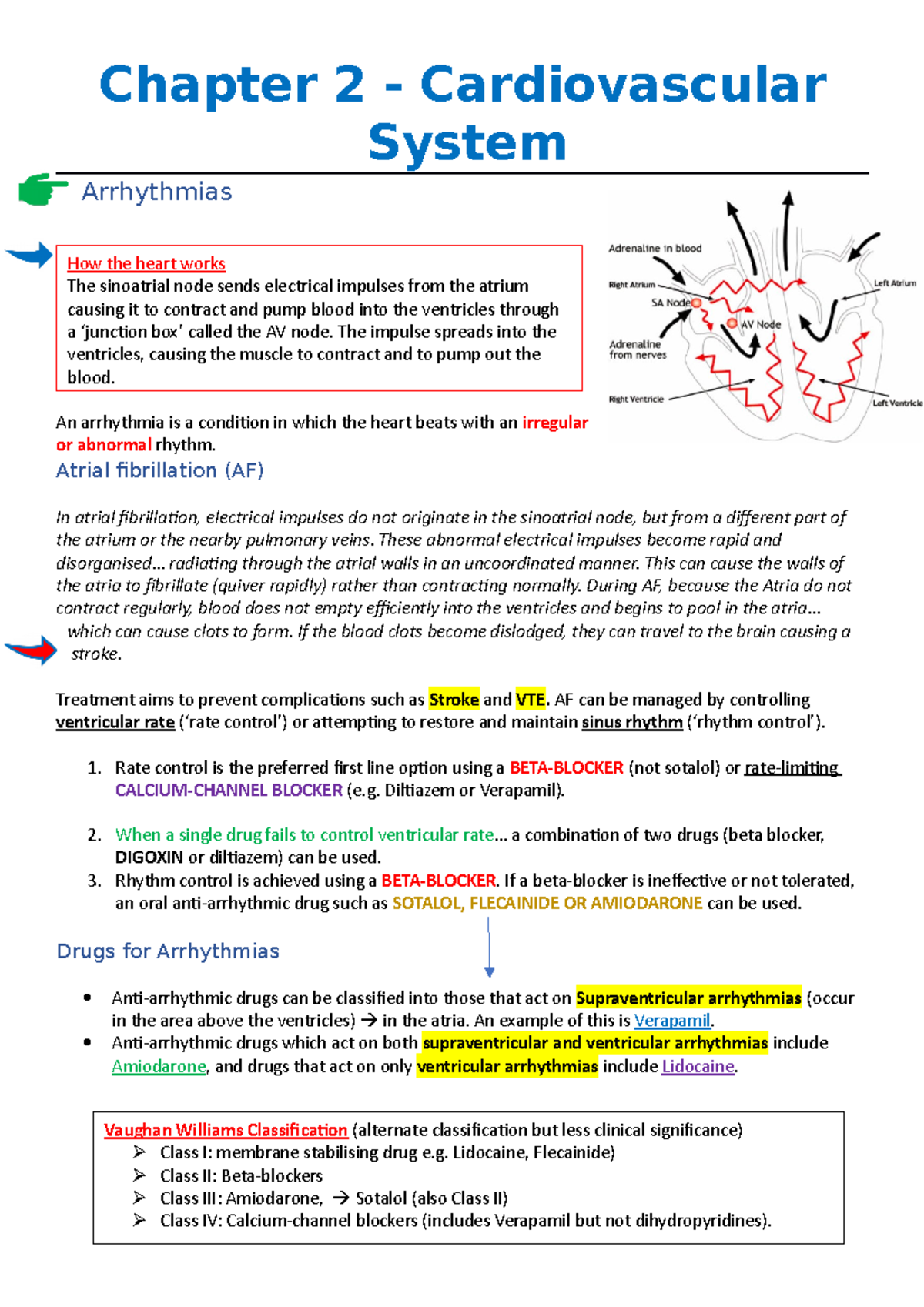 Chapter 2 - Cardiovascular System - Chapter 2 - Cardiovascular System ...