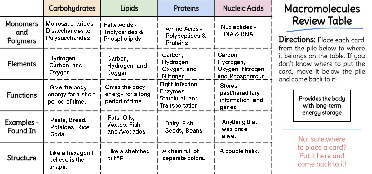Macromolecules Review - Studocu