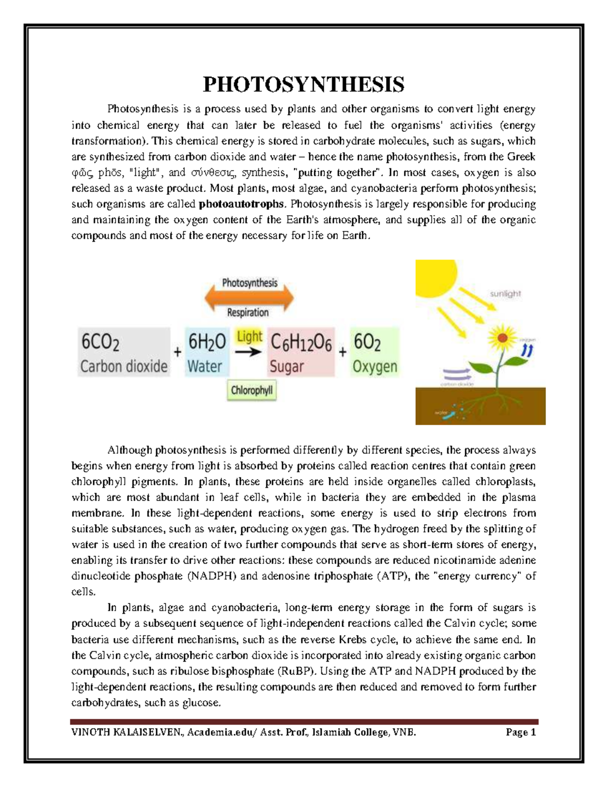 Photosynthesis pdf - PHOTOSYNTHESIS Photosynthesis is a process used by ...