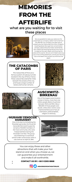 Participants - Vvvgg - Participants in the financial system: In the ...