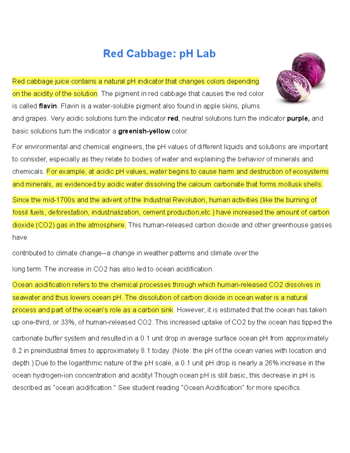 Adan Bravo - Red Cabbage p H lab - Red Cabbage: pH Lab Red cabbage ...