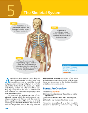 4. Stool Specimen - basta nursing - STOOL SPECIMEN COLLECTION I ...