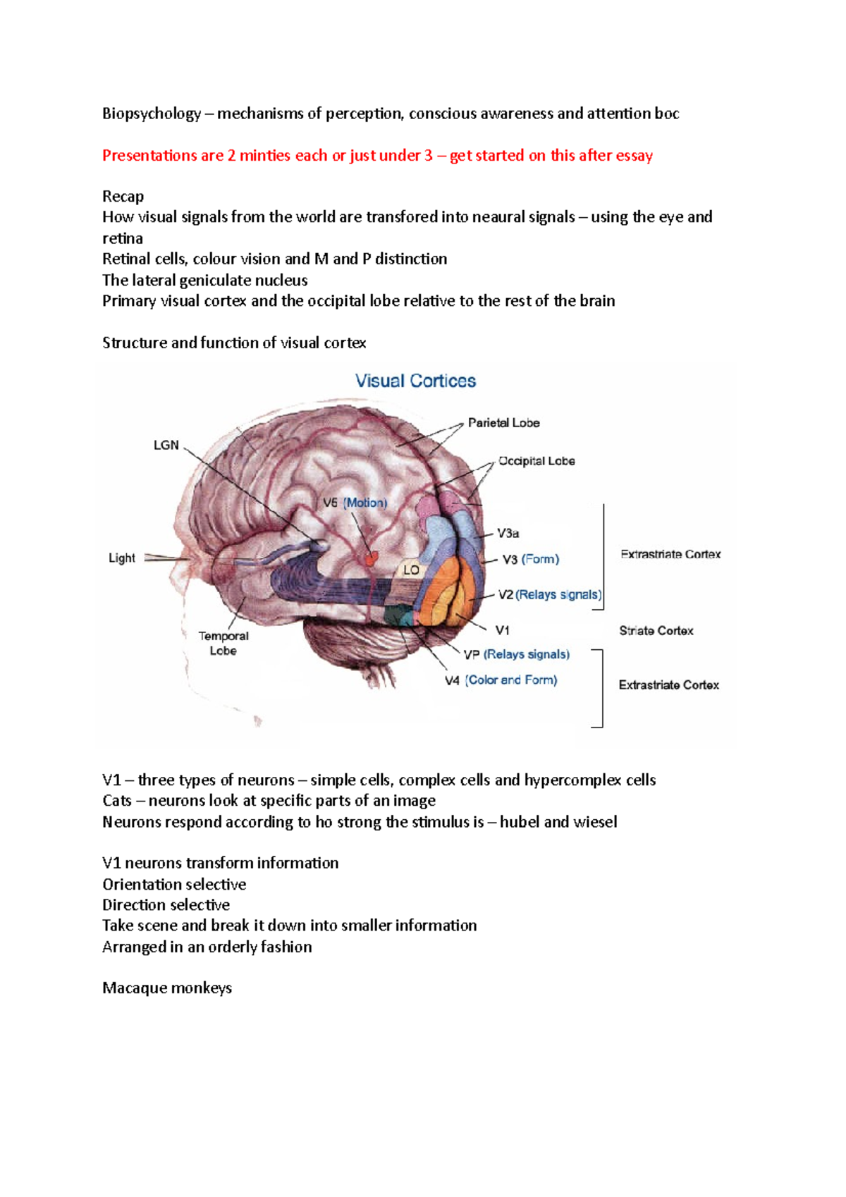 Biopsychology – mechanisms of perception - Biopsychology – mechanisms ...