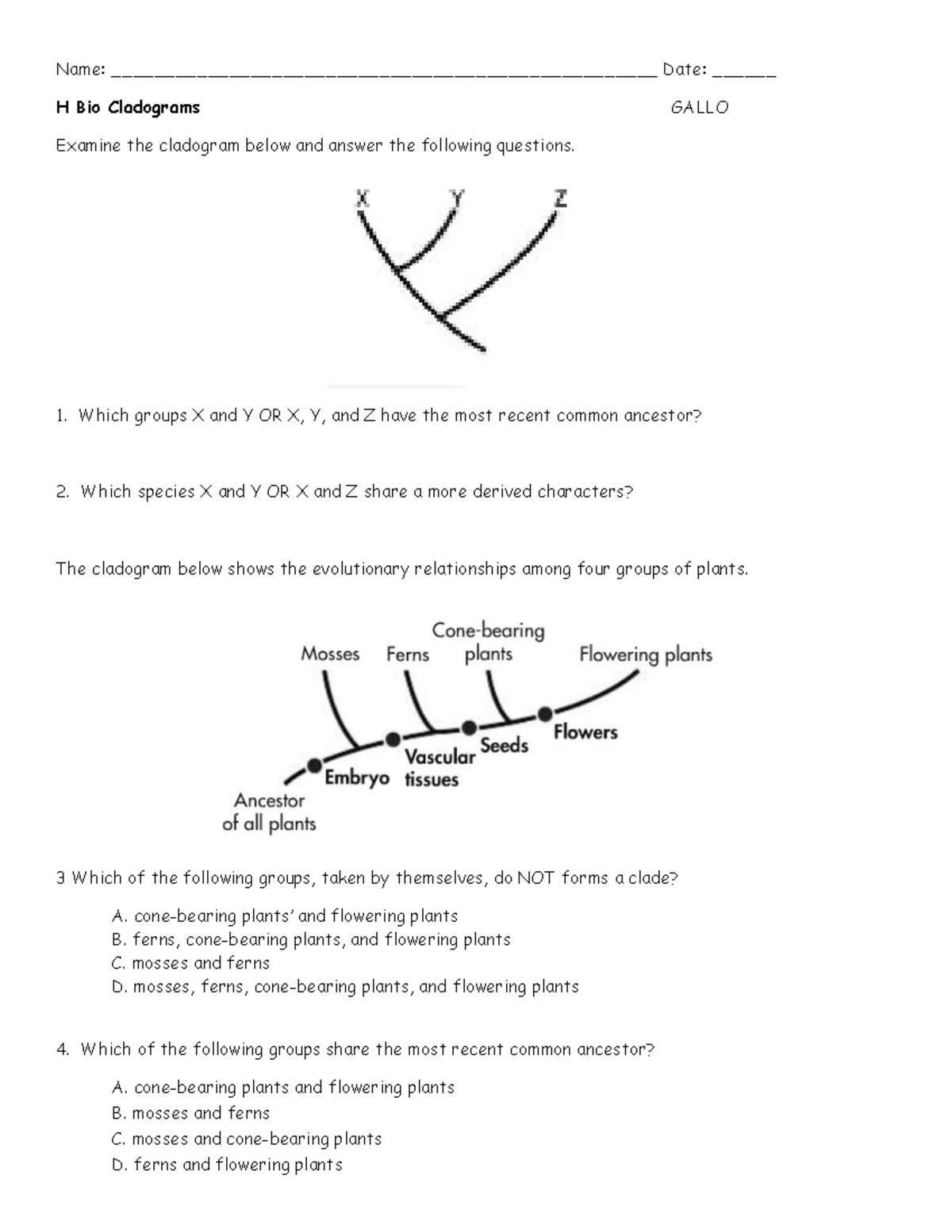 Cladogram worksheet - None - Name ...