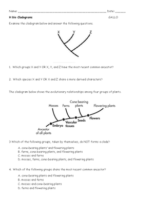 IB Biology HL - chapter 1 revision notes