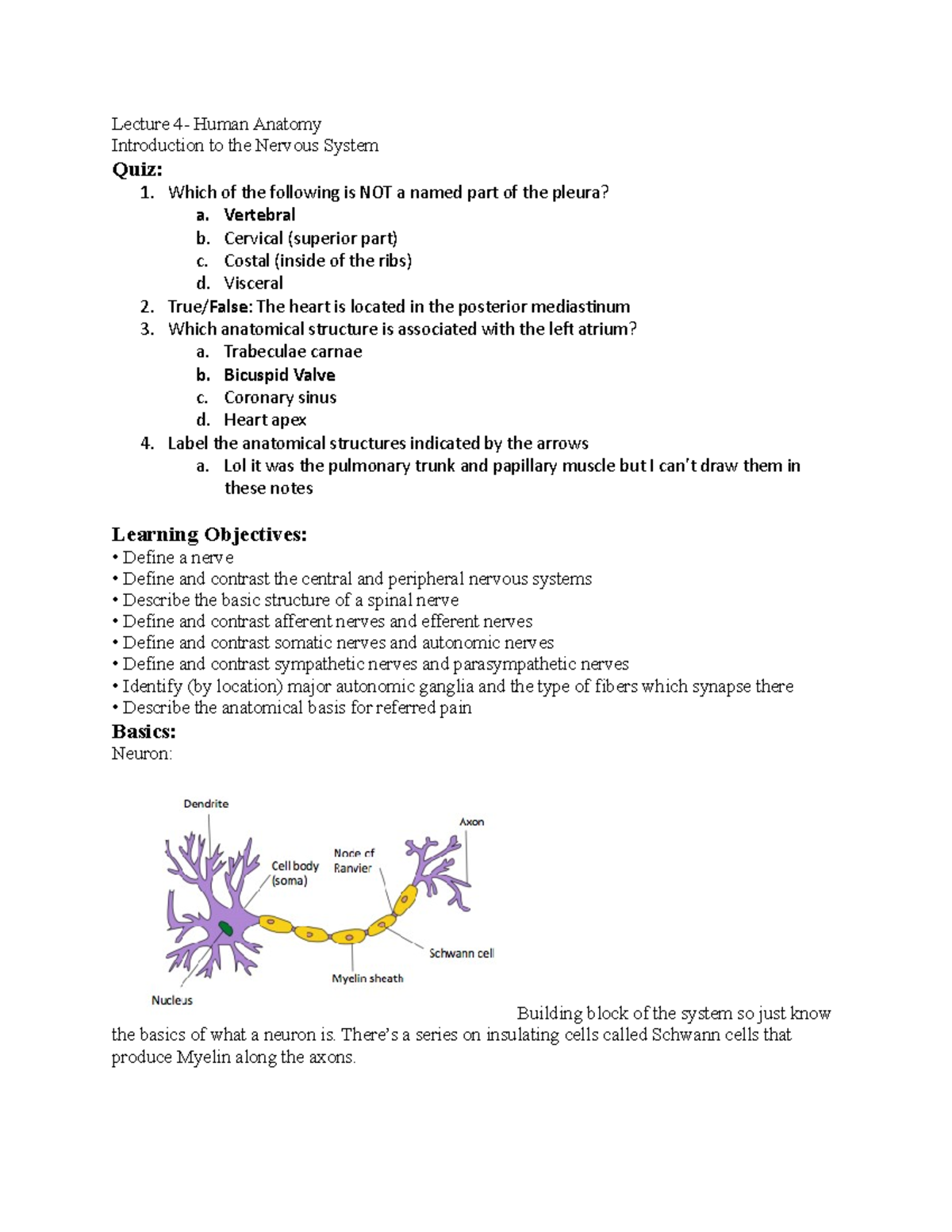 4-Human Anatomy 2:7 - Lecture 4- Human Anatomy Introduction to the ...