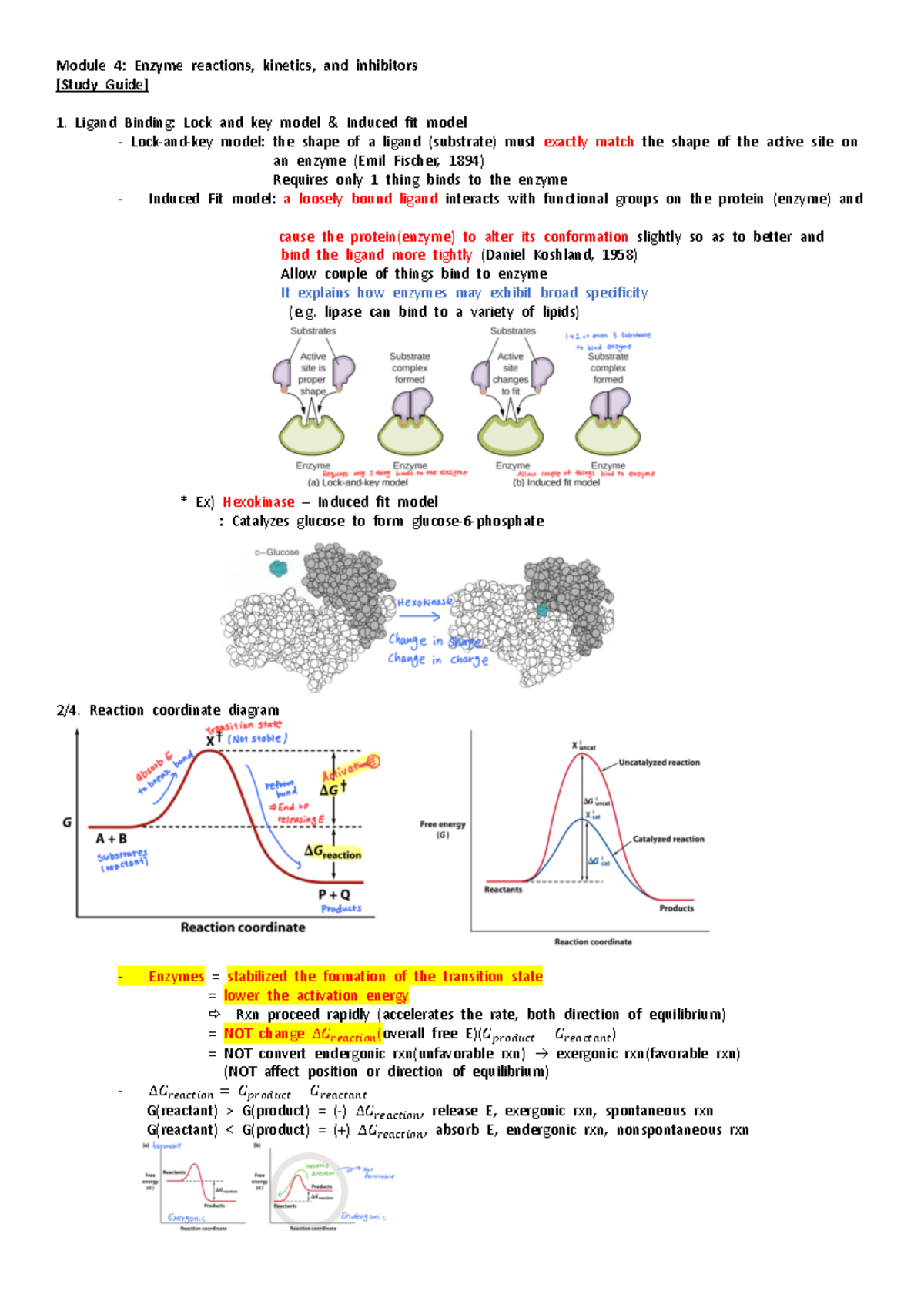 Exam2 Study Guide Note - Module 4: Enzyme reactions, kinetics, and ...