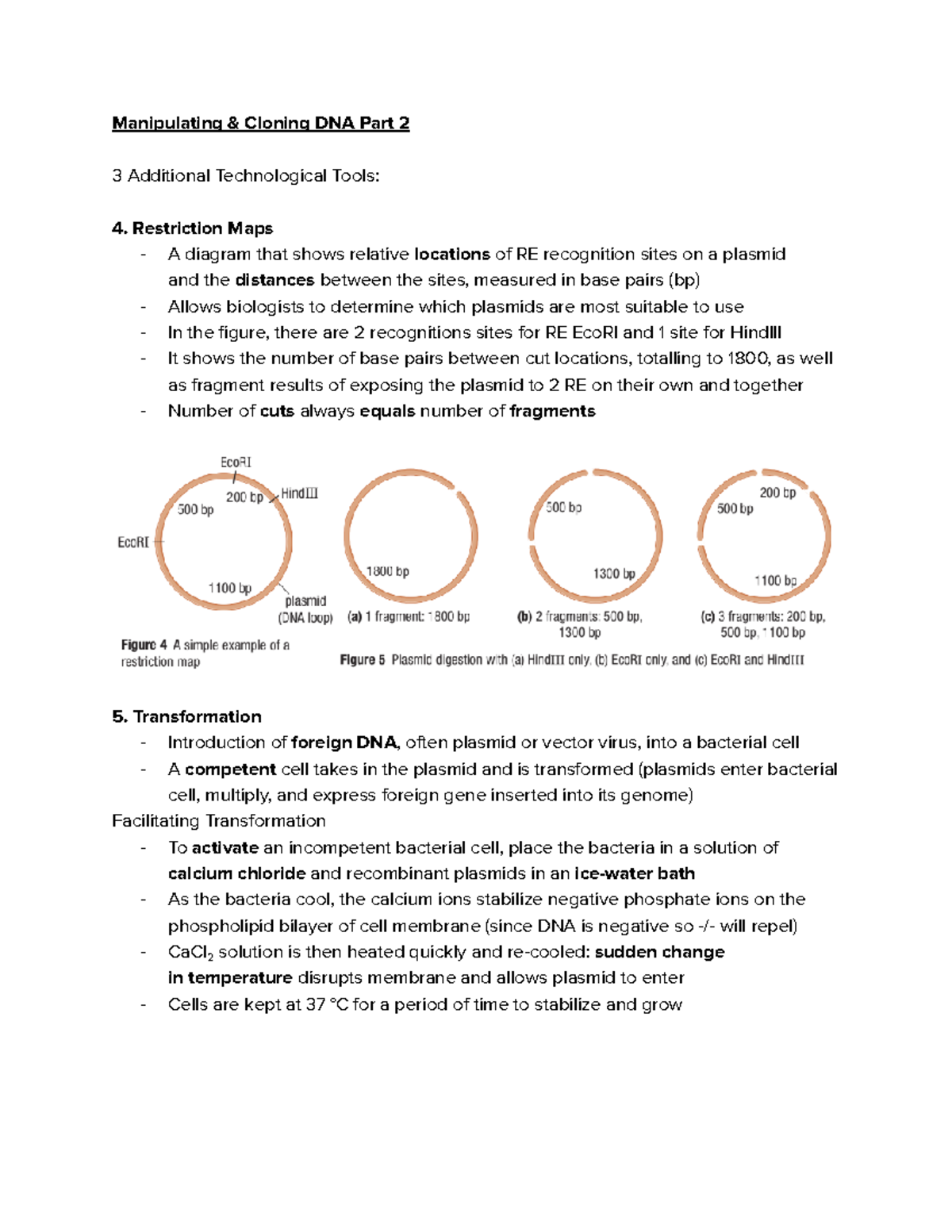Manipulating and Cloning DNA TWO - Manipulating & Cloning DNA Part 2 3 ...