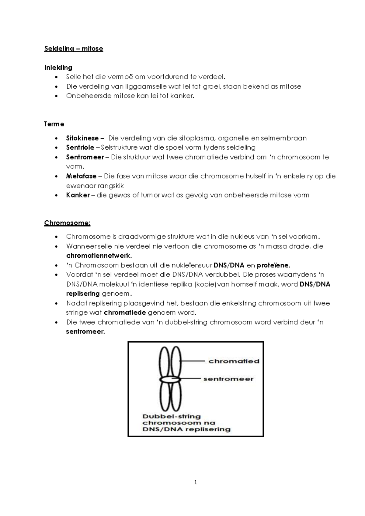 4. Seldeling - mitose - Afrikaans summary on Grade 10 Lewenswetenskappe ...