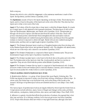 Chapter 1.2 Review Questions Anatomy and Physiology HS 2211 - Anatomy ...