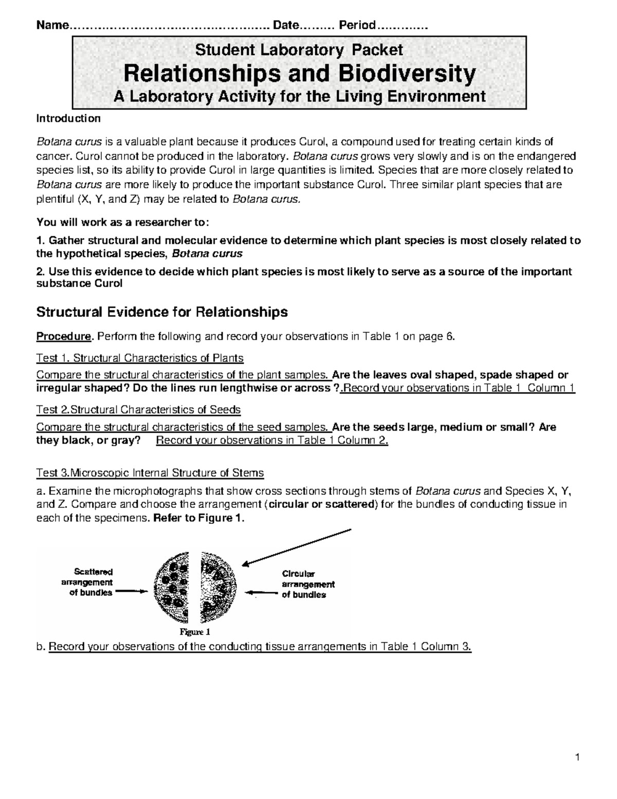 Relationship & Biodiversity lab - Name