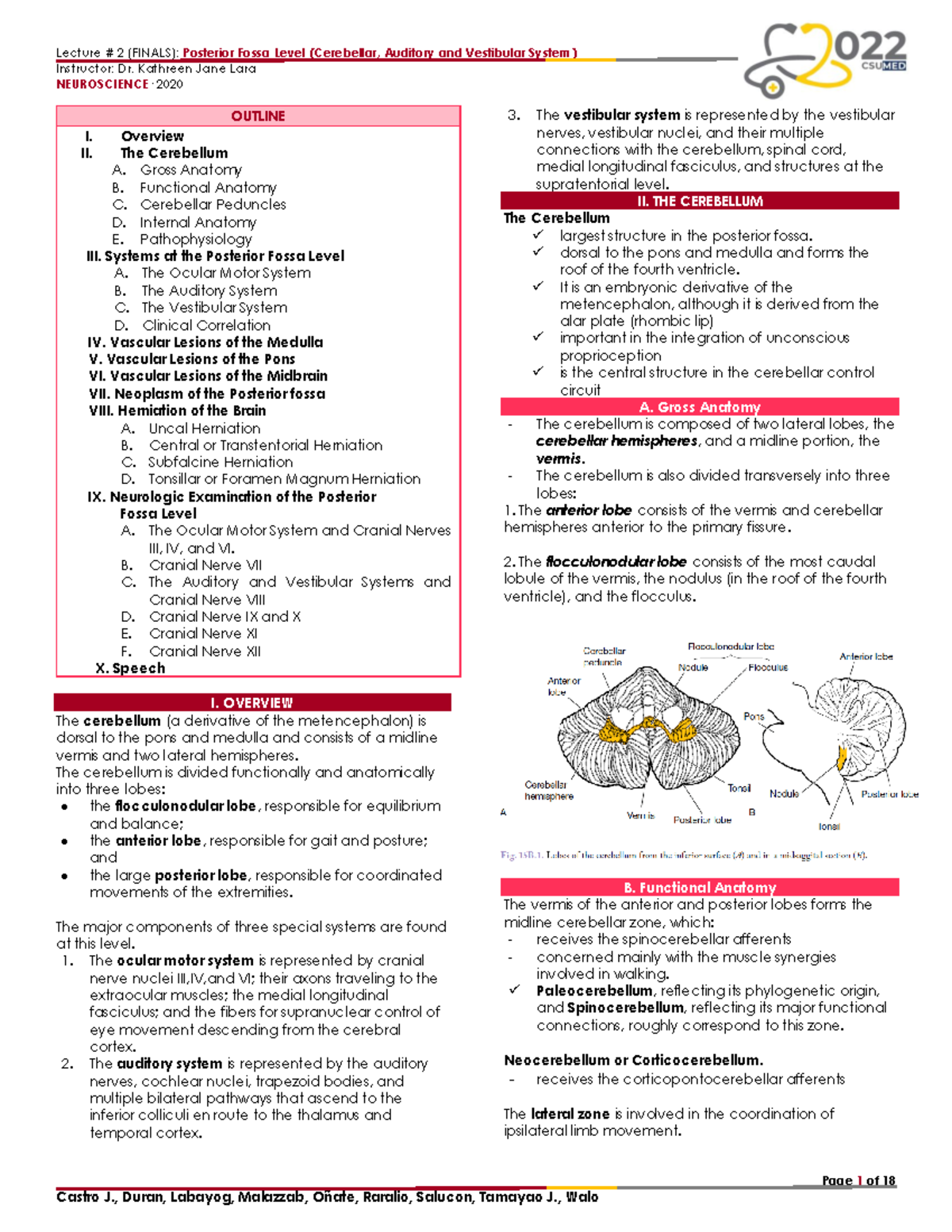 2022 Neuro Science Posterior Fossa Level Part 2 Cerebella Auditory and ...