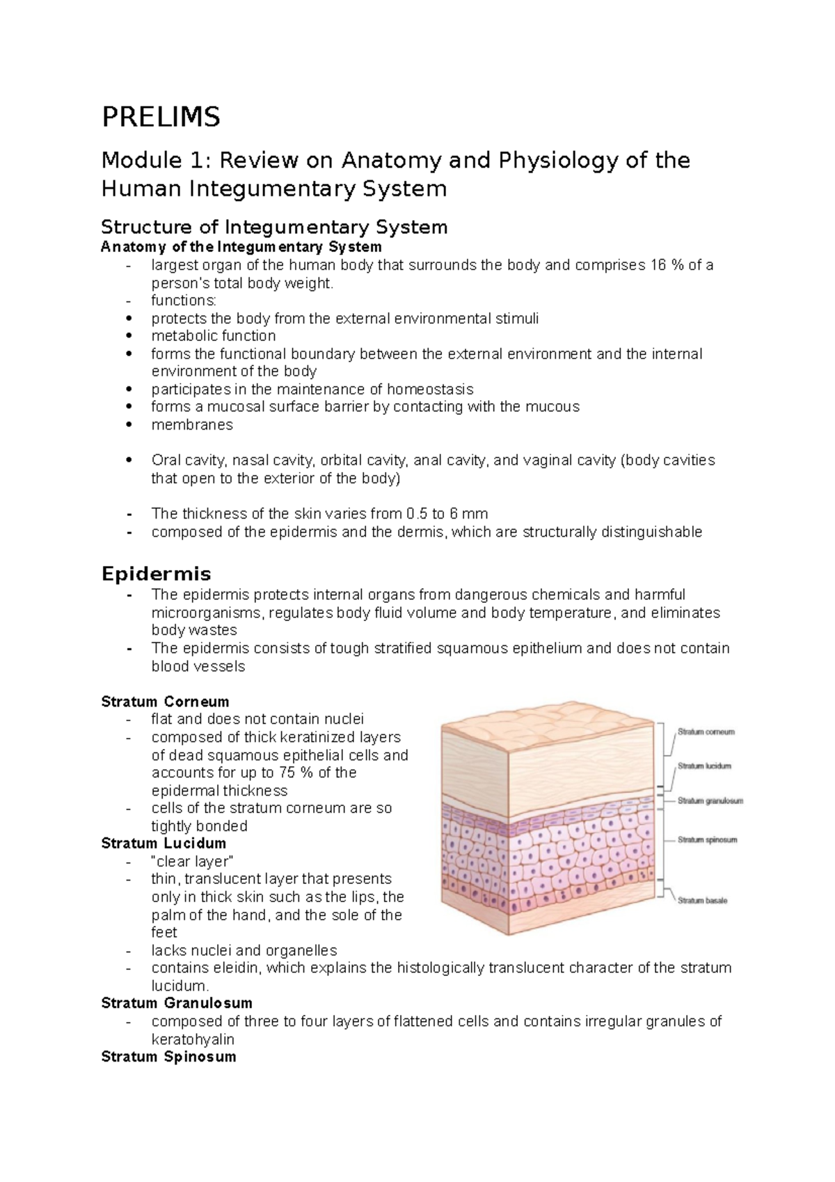 Anaphylab Prelims- Finals Notes - PRELIMS Module 1: Review on Anatomy ...