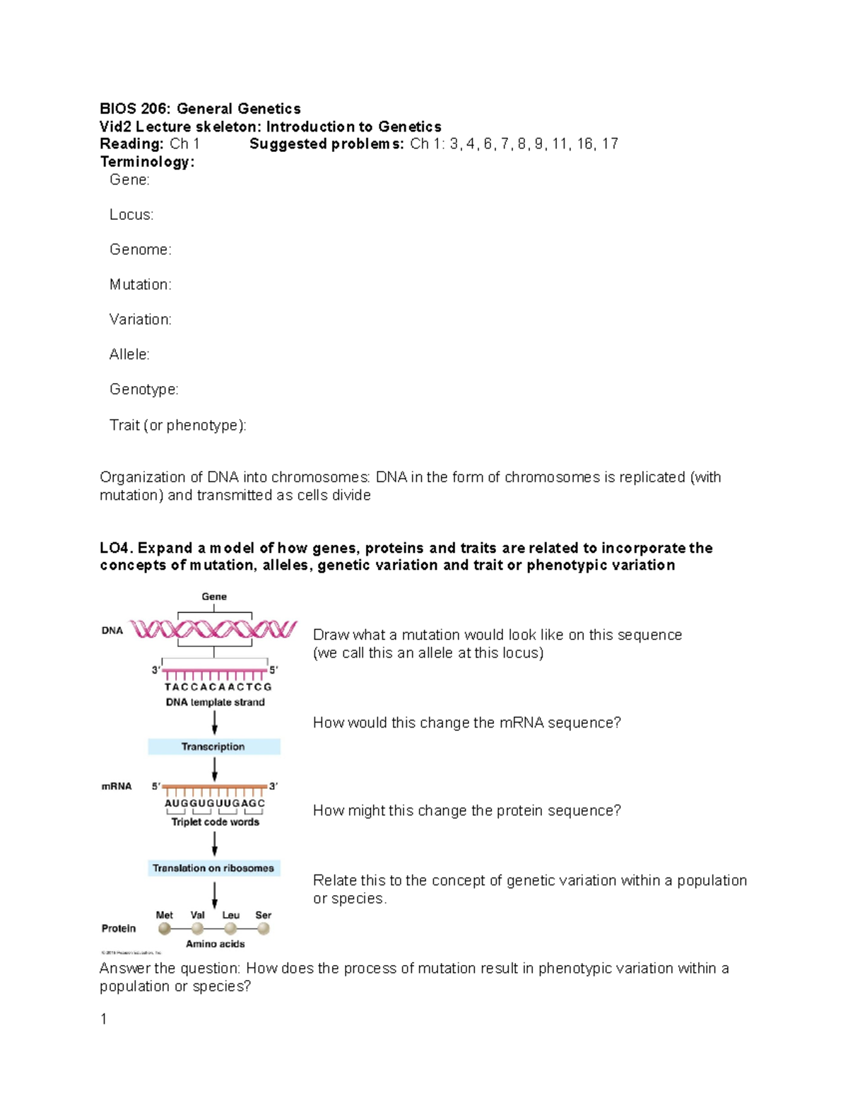 Genetics Lec2 Note Scaffold - BIOS 206: General Genetics Vid2 Lecture ...