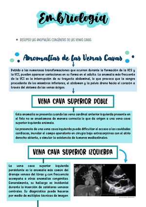 Resumen Malformaciones Congenitas AP - EmbriologÌa Malformaciones ...