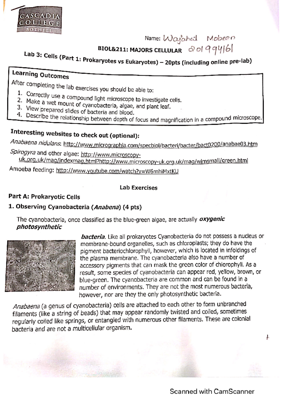 Lab3 - notes - BIOL 01430 - Studocu