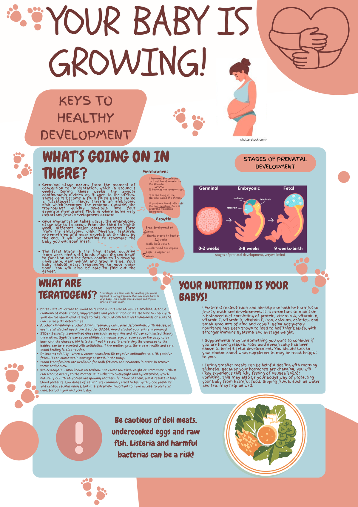 Pregnancy flyer - KEYS TO HEALTHY DEVELOPMENT STAGES OF PRENATAL ...