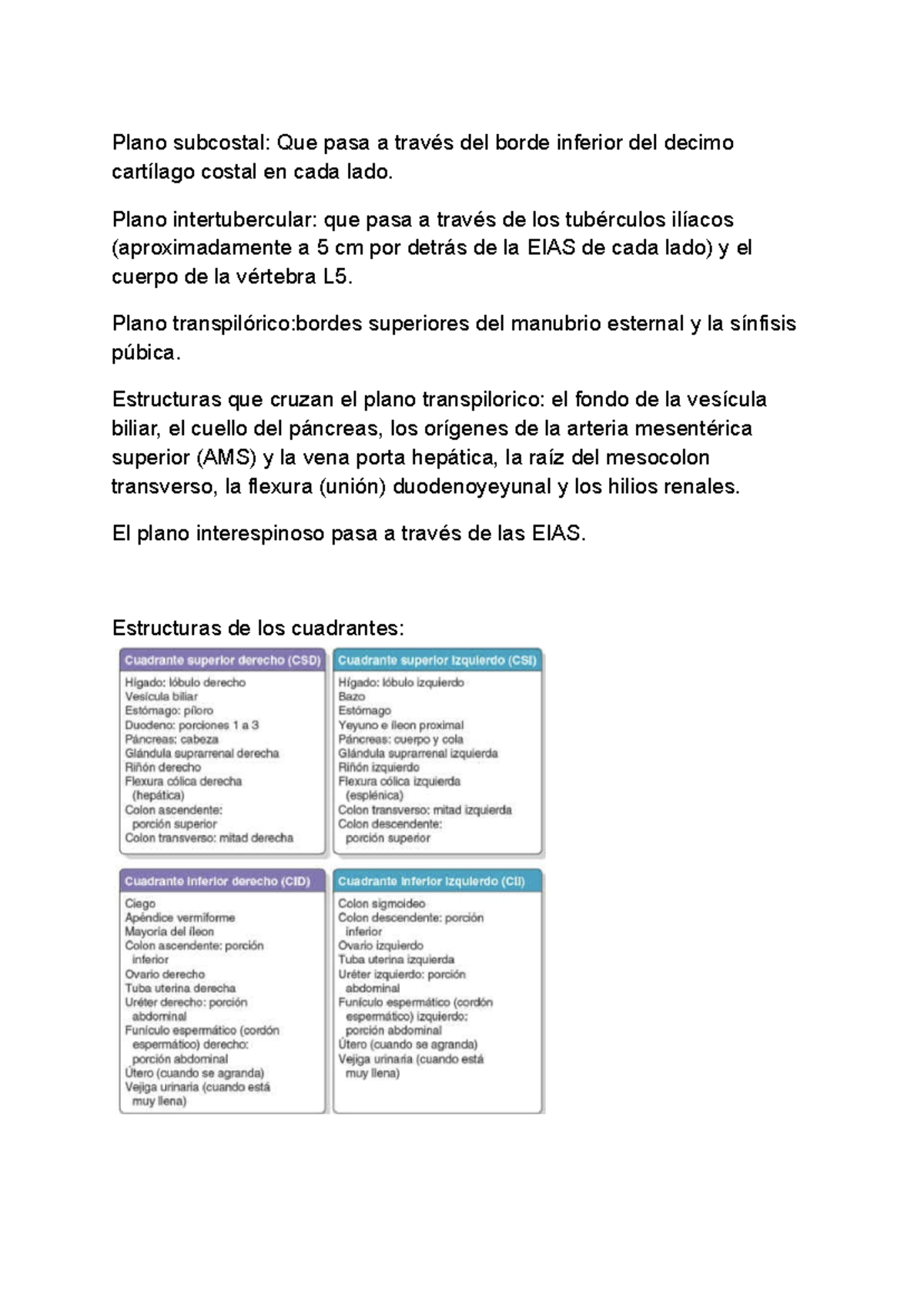 Anato Pared anterior posterior y region inguinal - Plano subcostal: Que ...