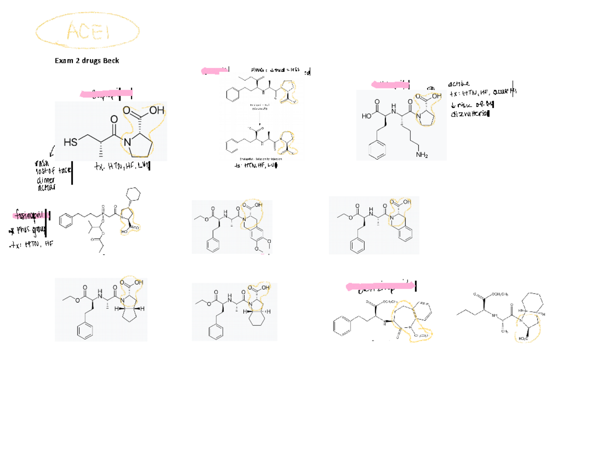 Exam 2 drugs Beck - Study notes and practice - RX 412 - Exam 2 drugs ...