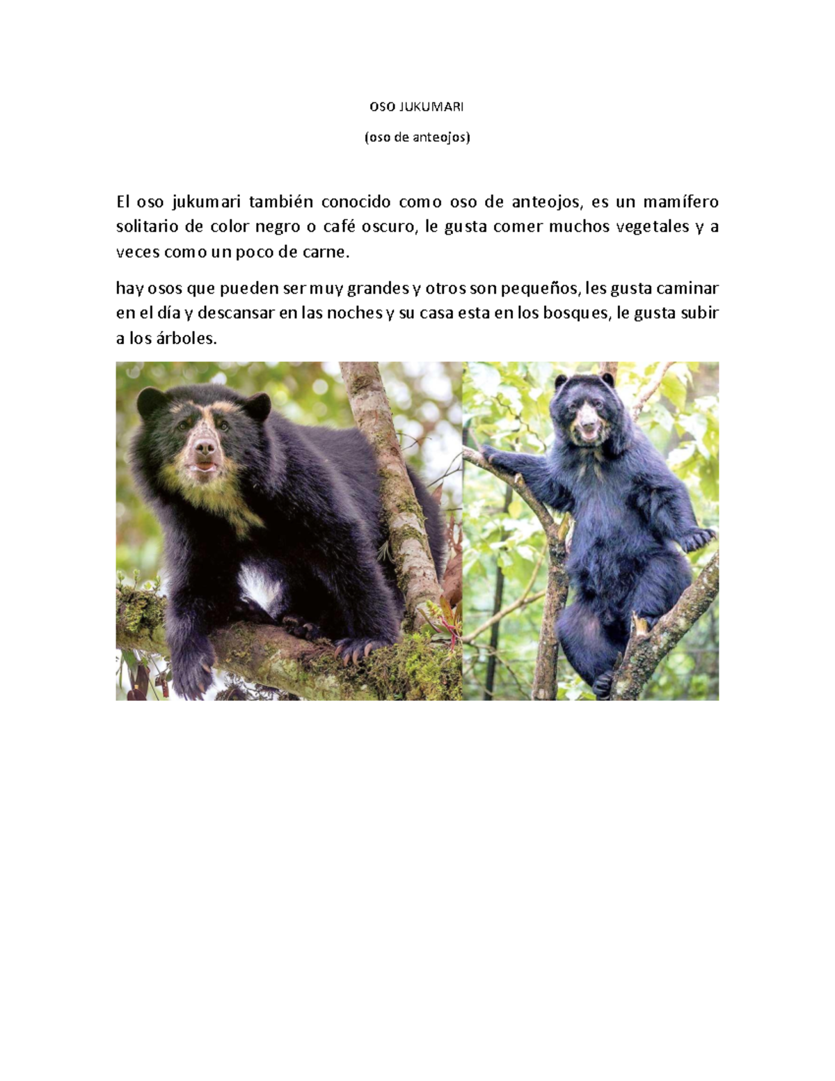 OSO Jukumari - estudio del desarrollo celular en animales ...