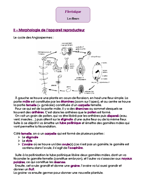 Les adaptations des plantes (partie 2) - III – Adaptations aux ...