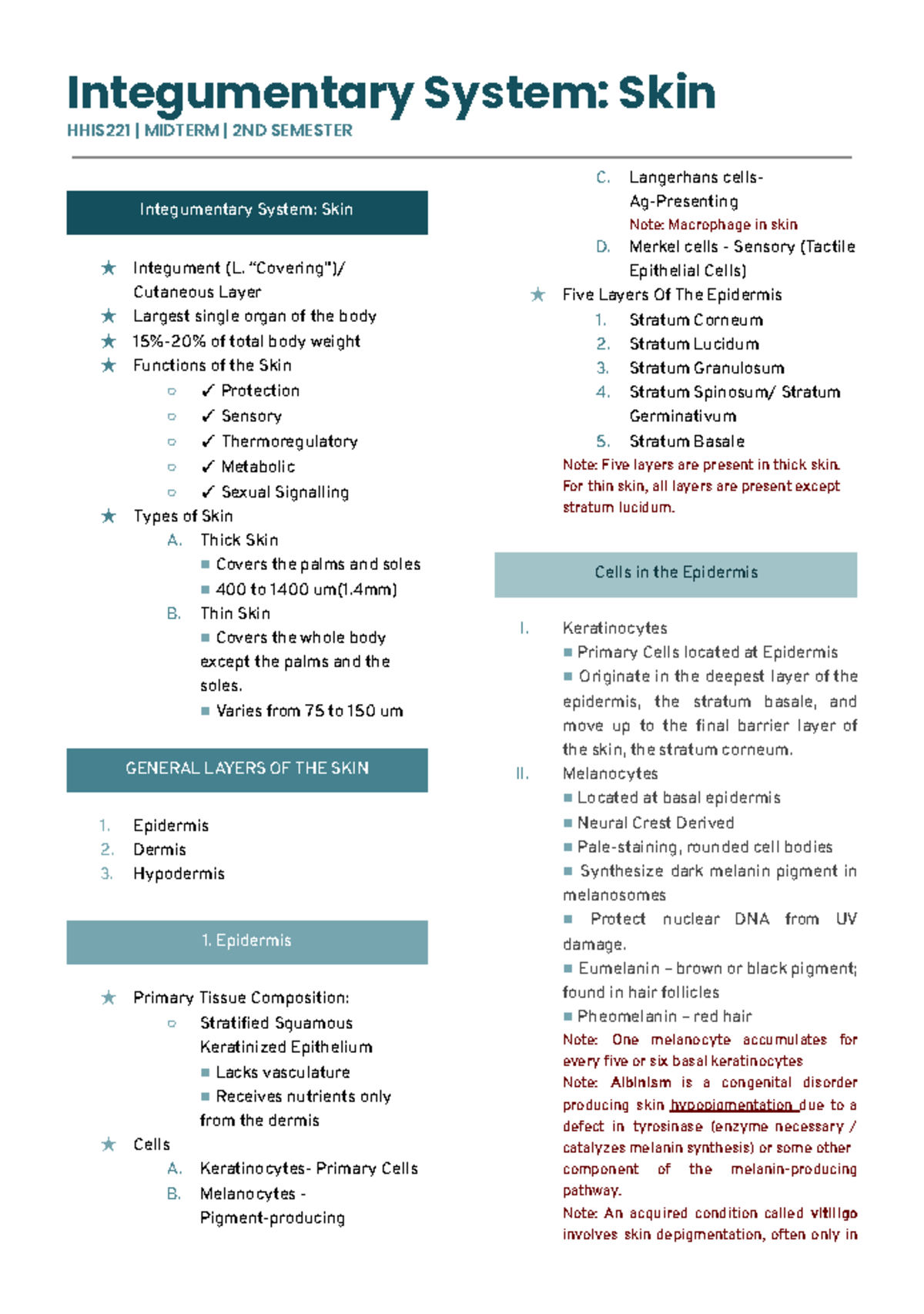 Integumentary System Skin (H HIS 221) - HHIS221 | MIDTERM | 2ND ...