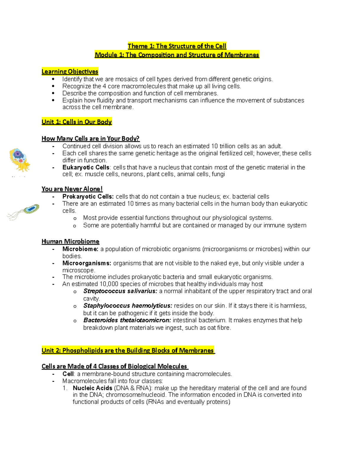 Bio 1A03 - Theme 1 Notes and Applied Lectures - Theme 1: The Structure ...