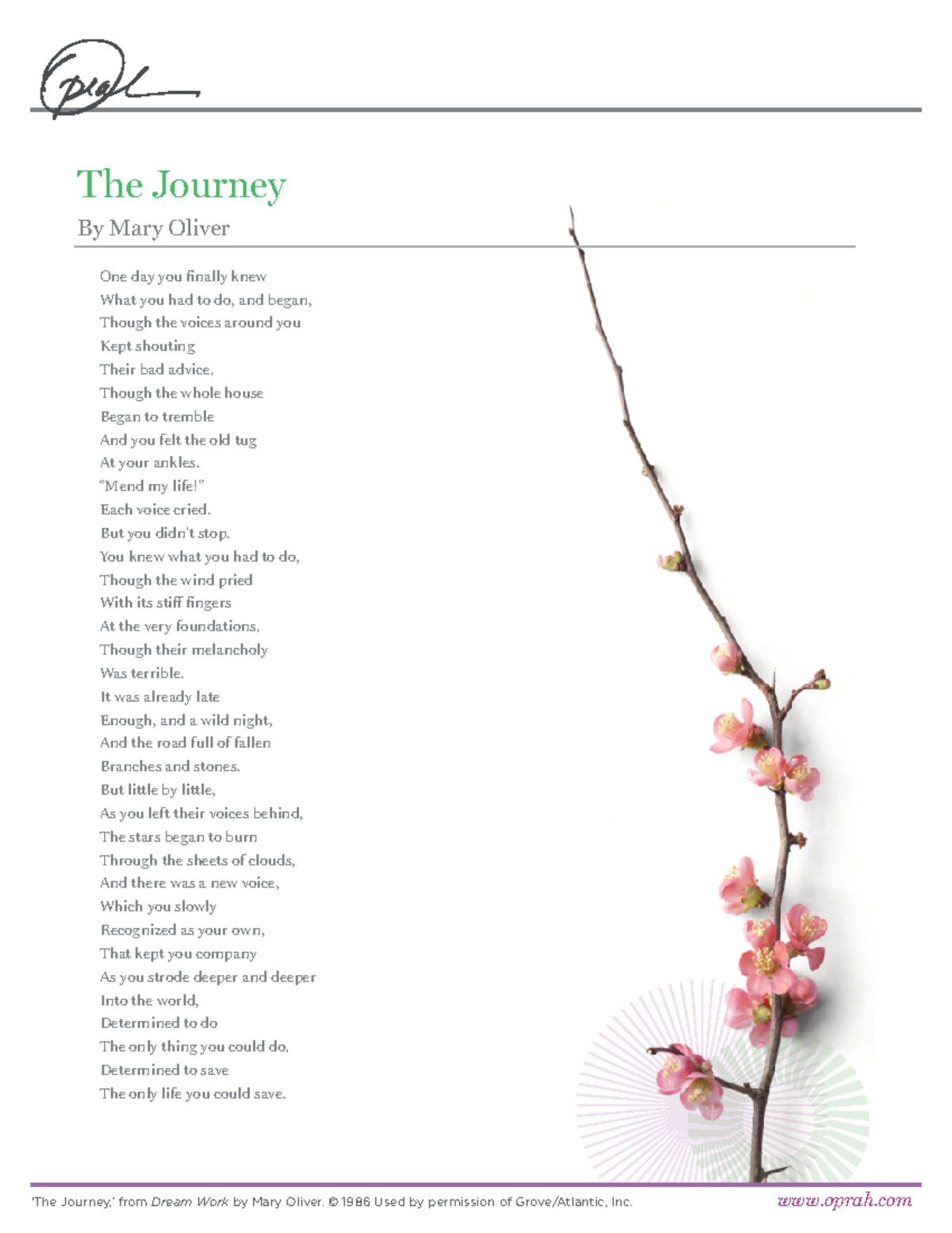 The-journey - CCFBC - oprah The Journey By Mary Oliver One day you ...