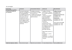 HOAC II stroomschema - Fysiotherapie - Studeersnel