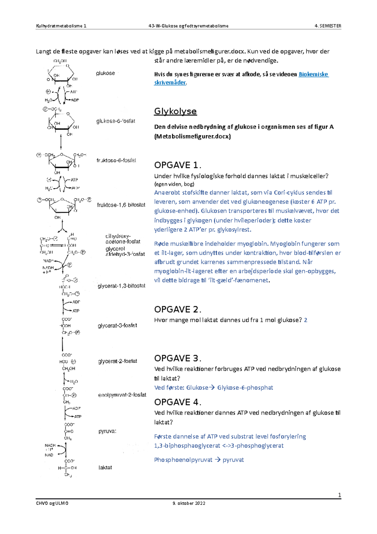 43 W Kulhydrat 1 metabolisme - Langt de fleste opgaver kan løses ved at ...