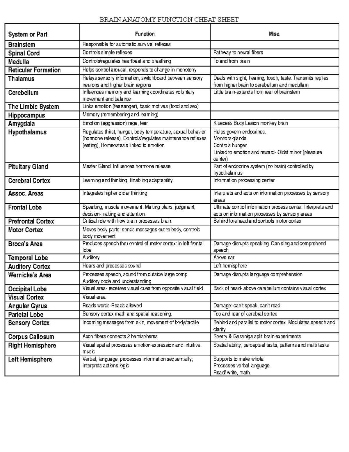 Brain anatomy function cheat sheet - BRAIN ANATOMY FUNCTION CHEAT SHEET ...
