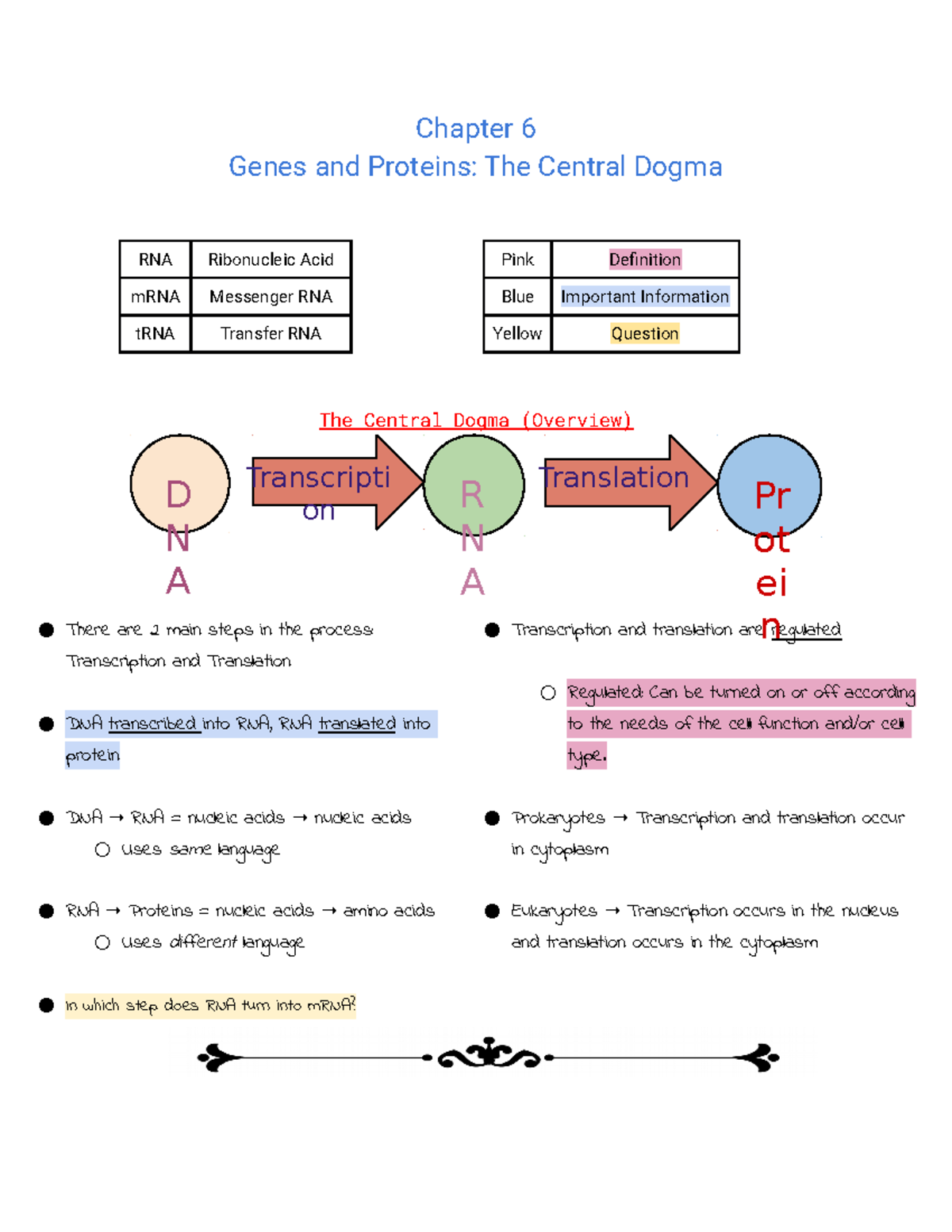 Chapter 6 Genes and Proteins The Central Dogma - Prokaryotes ...