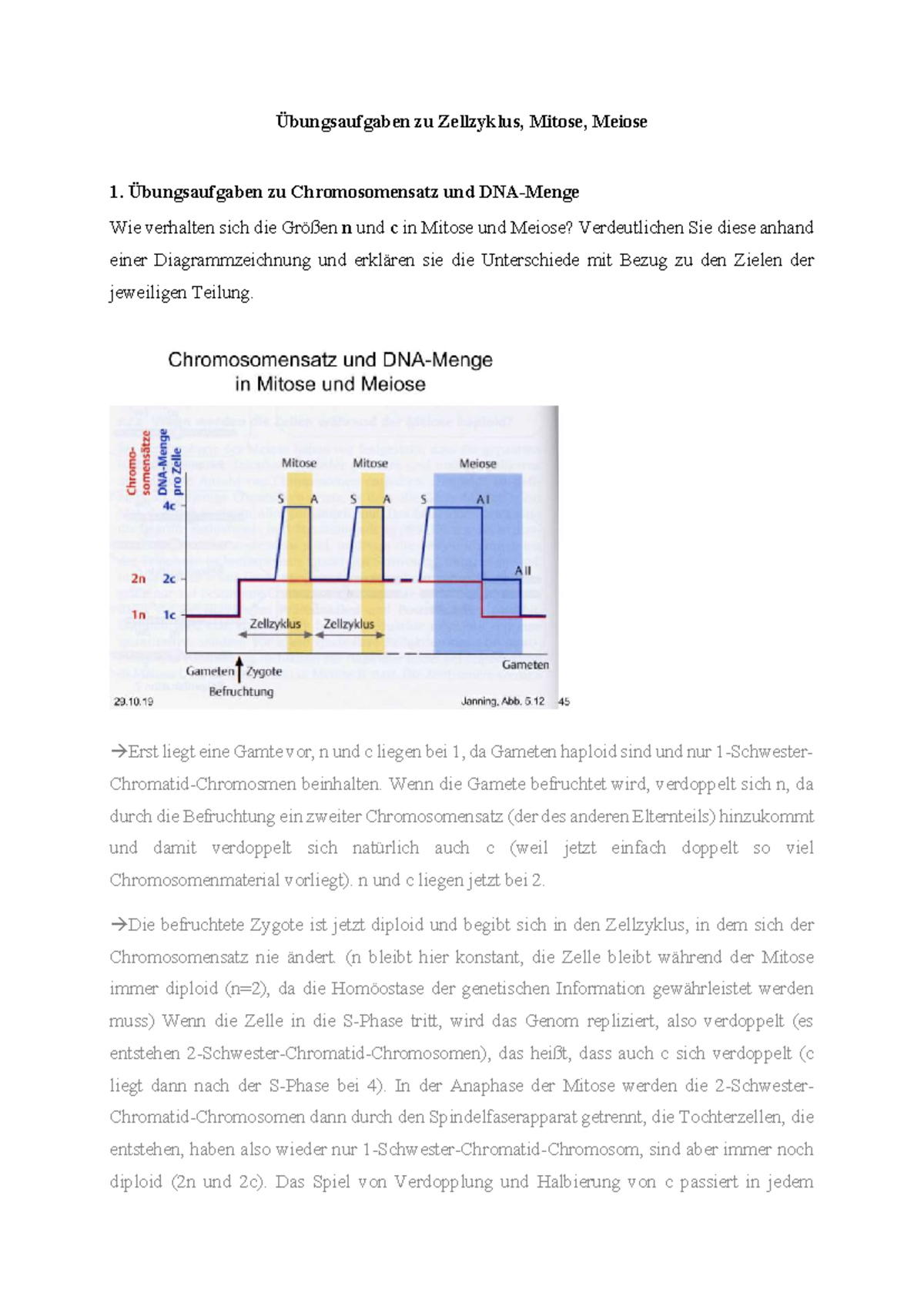Übungen zu Zellzyklus, Mitose,Meiose (inkusive Lösungen) - Ü ...