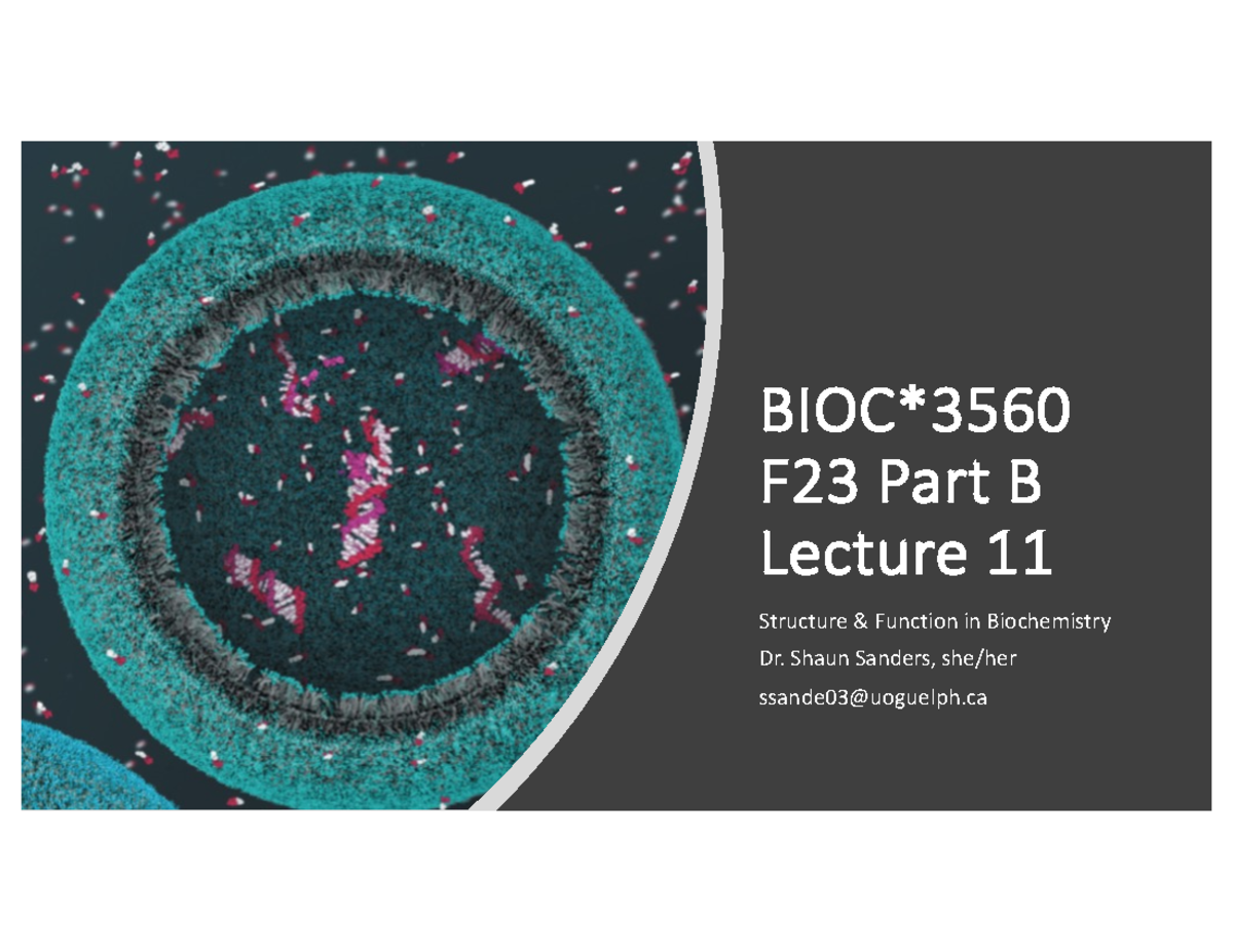 BIOC3560 Lecture 11 - BIOC* F23 Part B Lecture 11 Structure & Function in Biochemistry Dr. Shaun ...