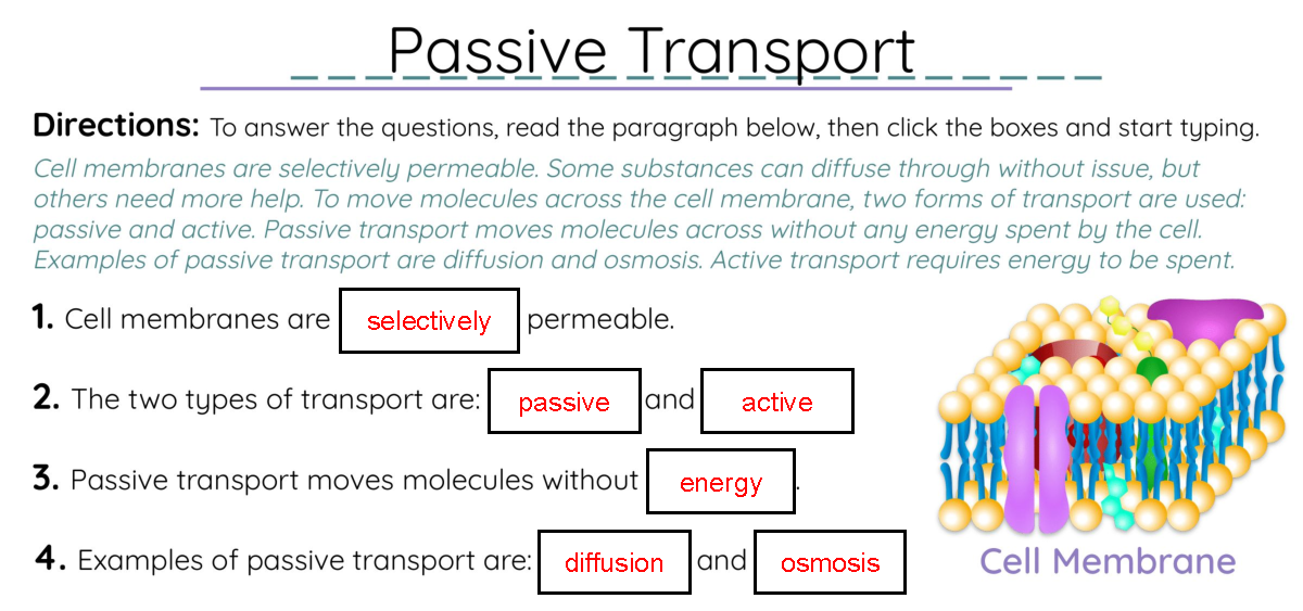 Discovering Diffusion and Osmosis Virtual Activity - passive active ...