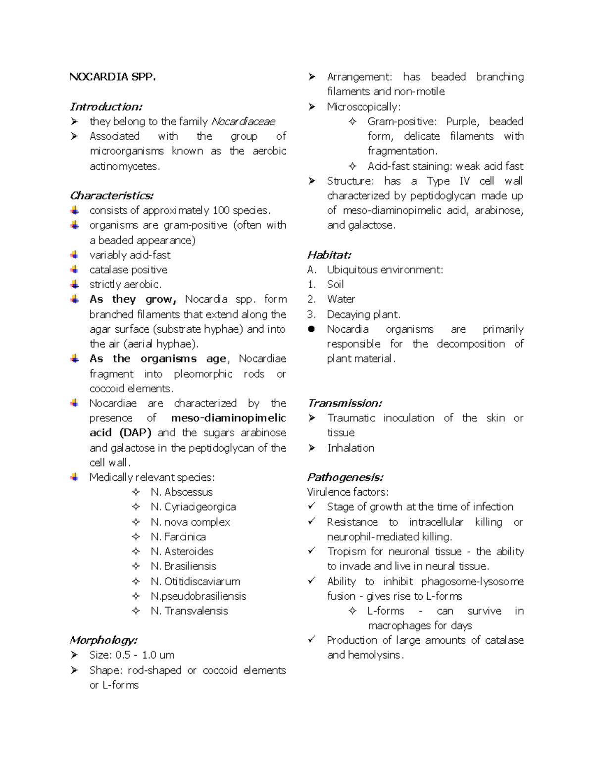 Nocardia-by-A2 - Chapter 7 - NOCARDIA SPP. Introduction: they belong to ...