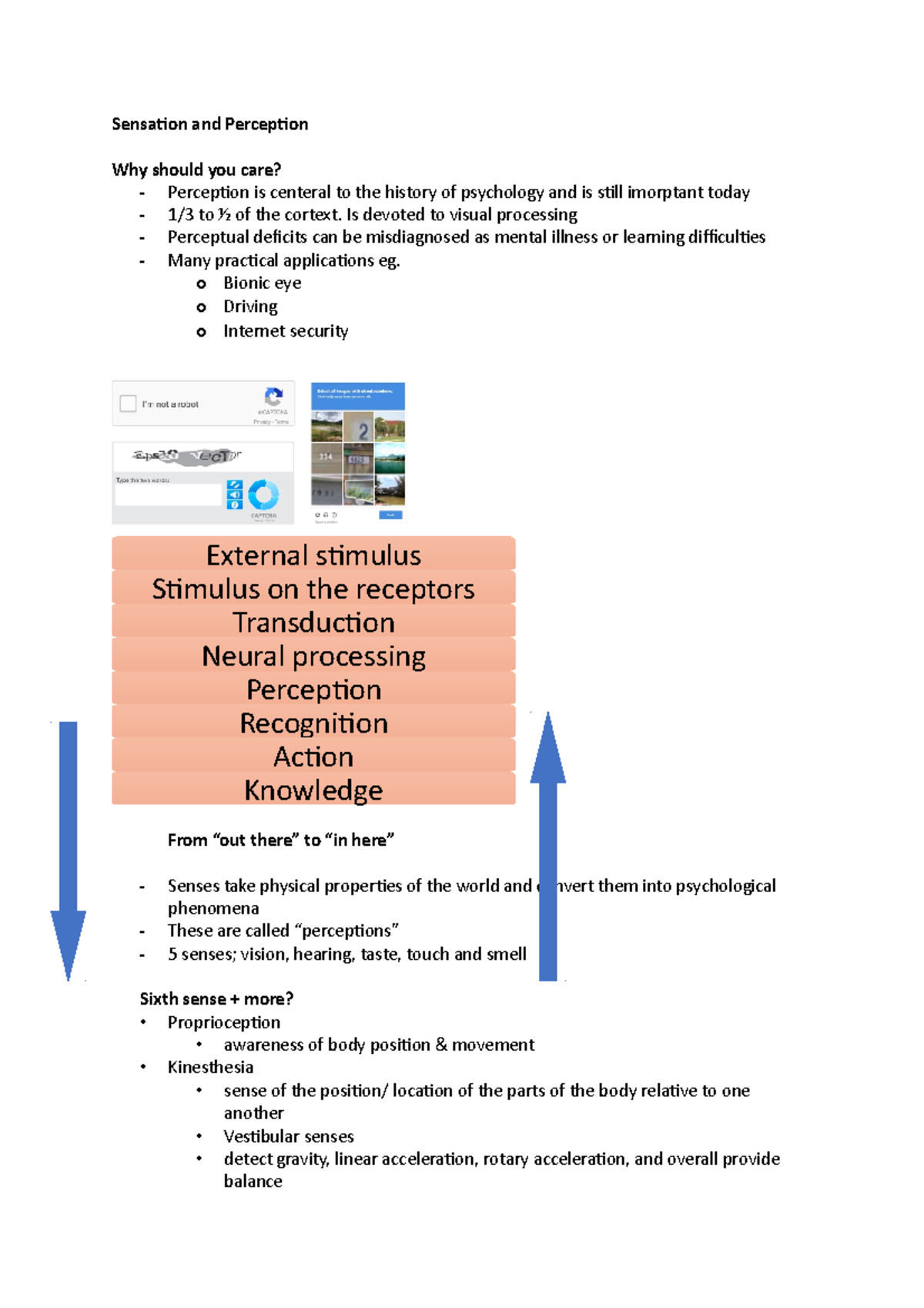 PSYC101 Lecture week 2 - Sensation and Perception Why should you care ...