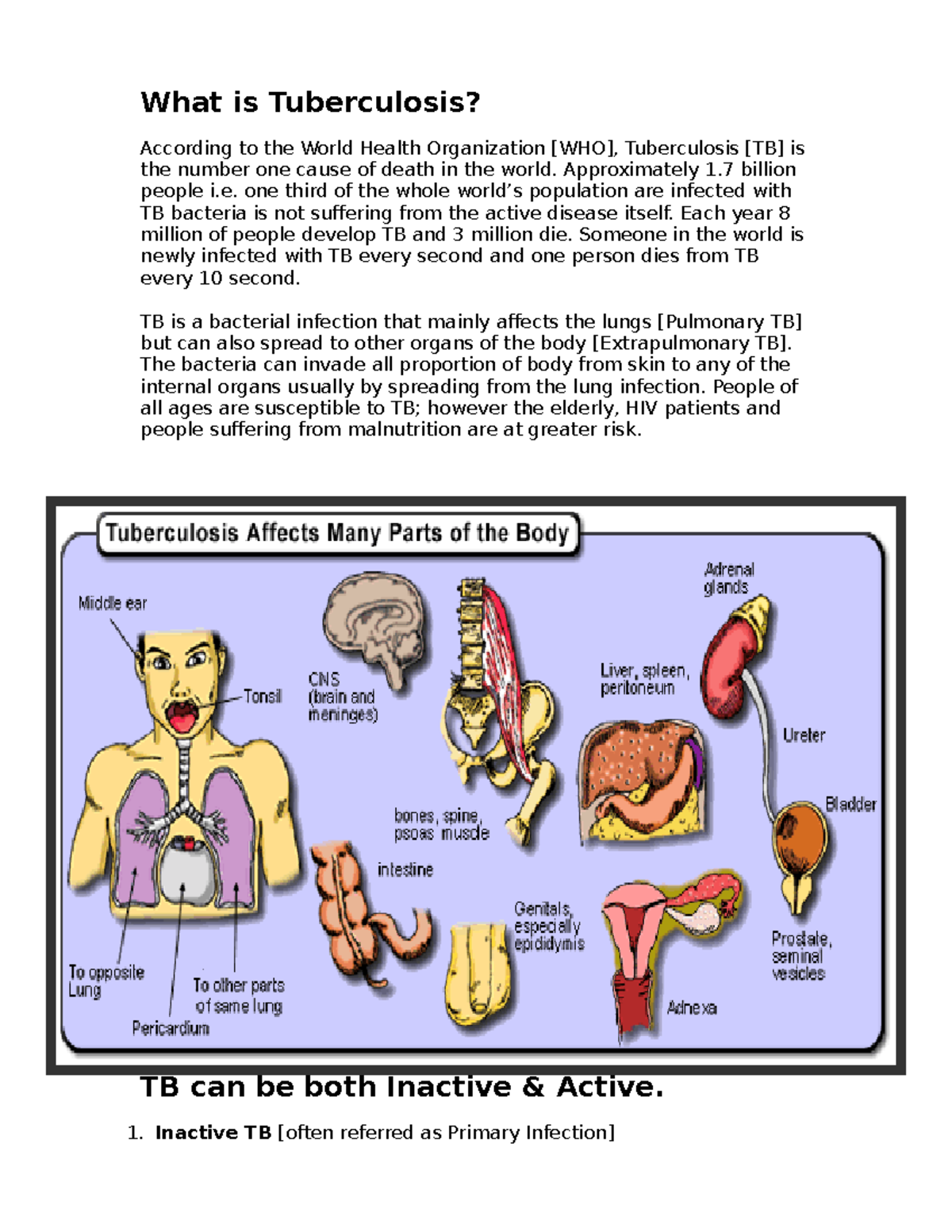 Courses science biology 1178805787 2006 Biology Assessment Task - What ...