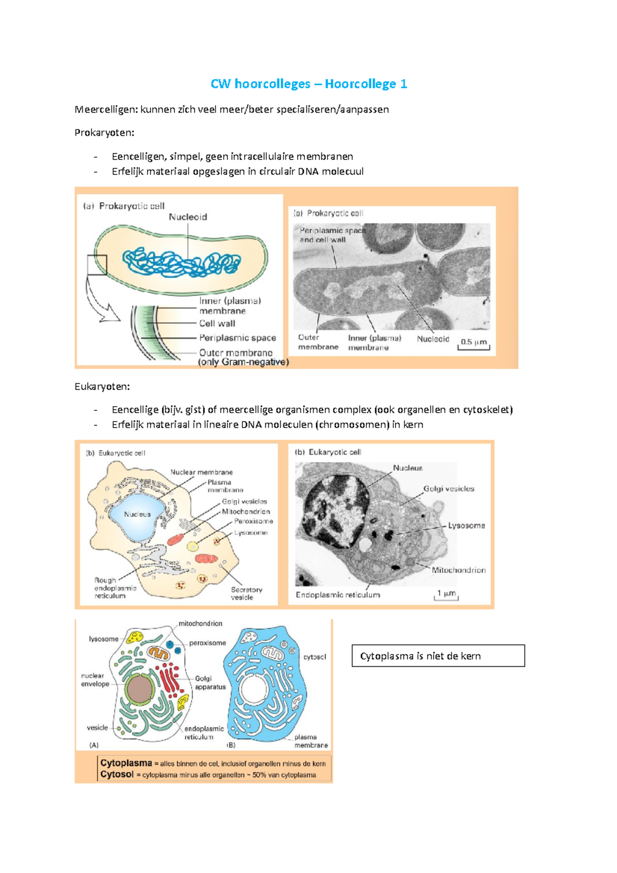 CW hoorcolleges - gist) of meercellige organismen complex (ook ...