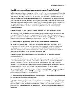Linfocitos - generalidades, etc - Linfocitos Pequeñas células ...