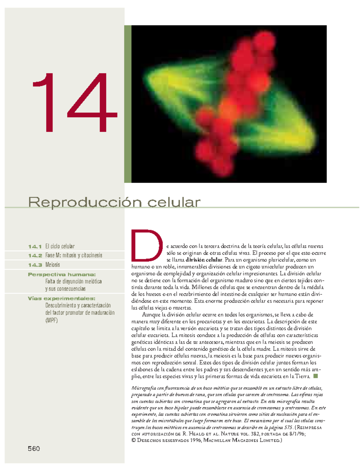 Gerald Karp Cell and Molecular Biology 6th edition - 560 14 El ciclo ...