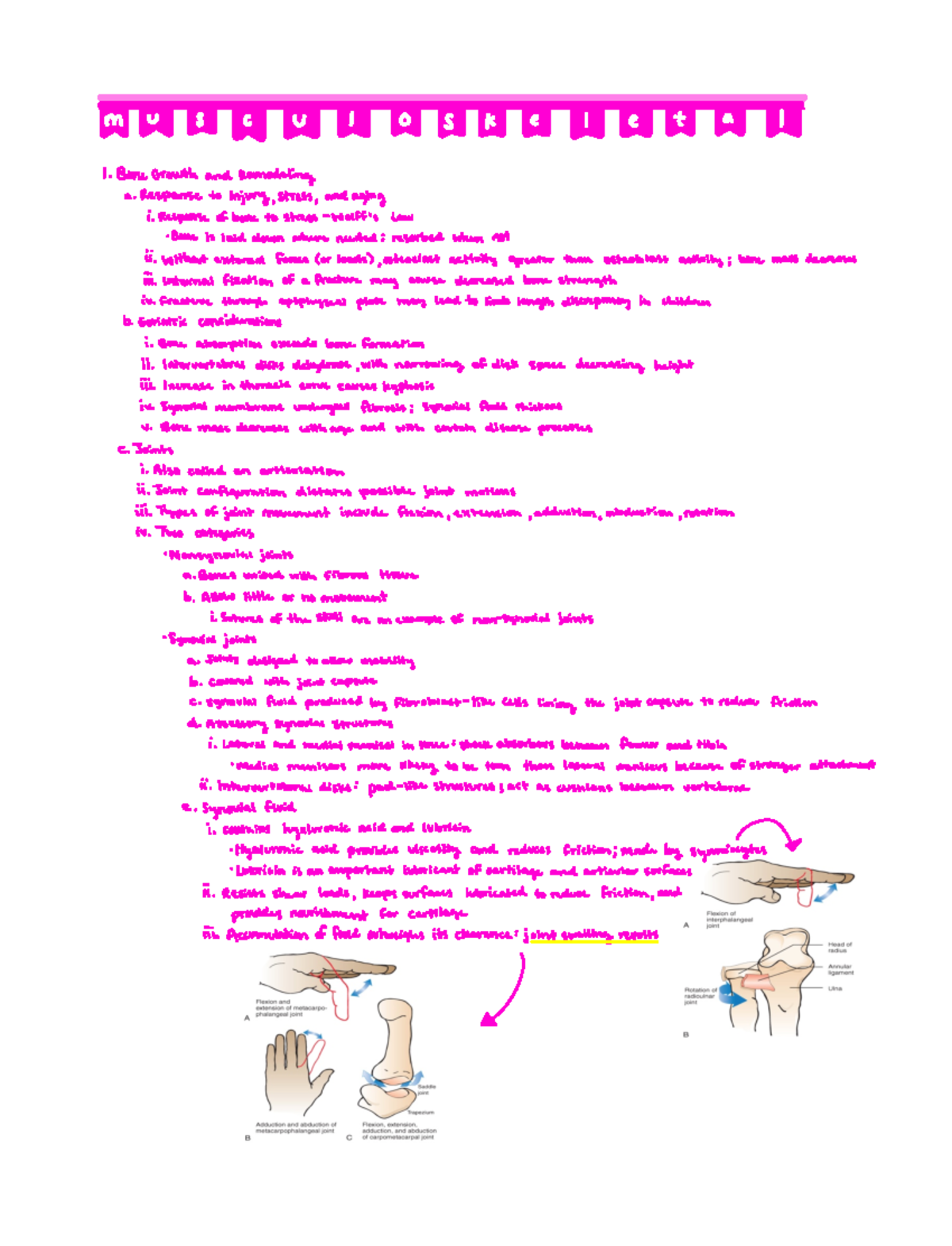 Pathophysiology For Nursing Musculoskeletal Notes - Nm OH Ad BB BT aim ...