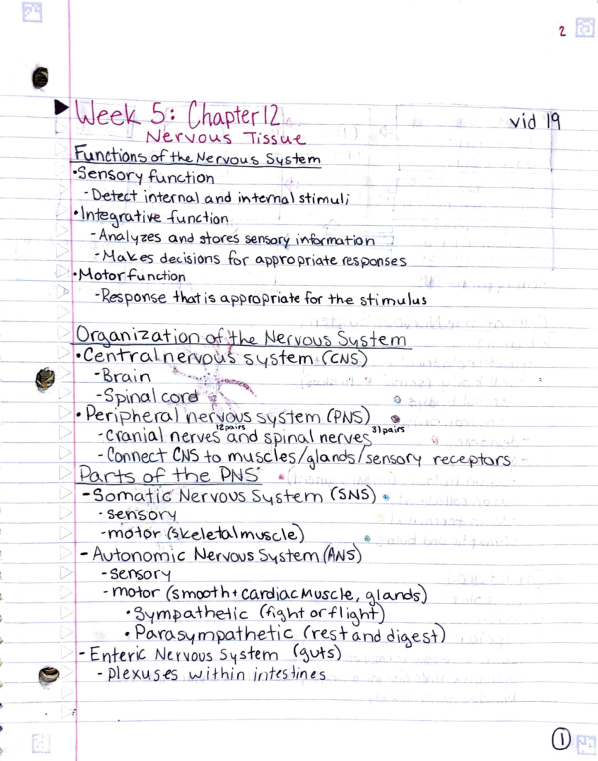 Chapter 12 Nervous Tissue - 1.. ' . ~~ rwel-51: .-c;h(l.)-ter12 ...