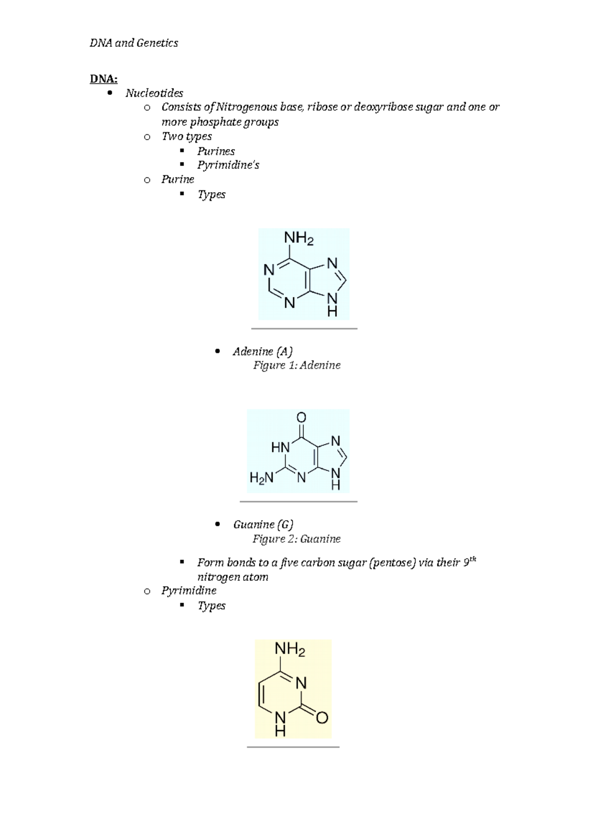 DNA Structure Lecture Notes - DNA: Nucleotides o Consists of ...