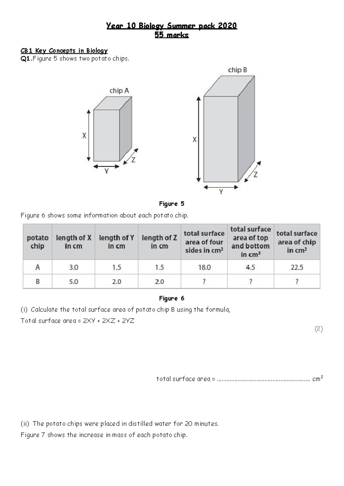 Year 10 Biology Summer pack 2020 - Year 10 Biology Summer pack 2020 55 ...