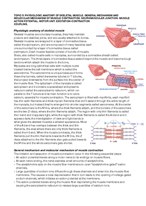 1. Microanatomy - ALL Slides, about all systems - 1. Digestive system ...