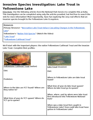 [Solved] How many values can a binary digit store Choose 1 answer Choose 1 - Computer Science ...