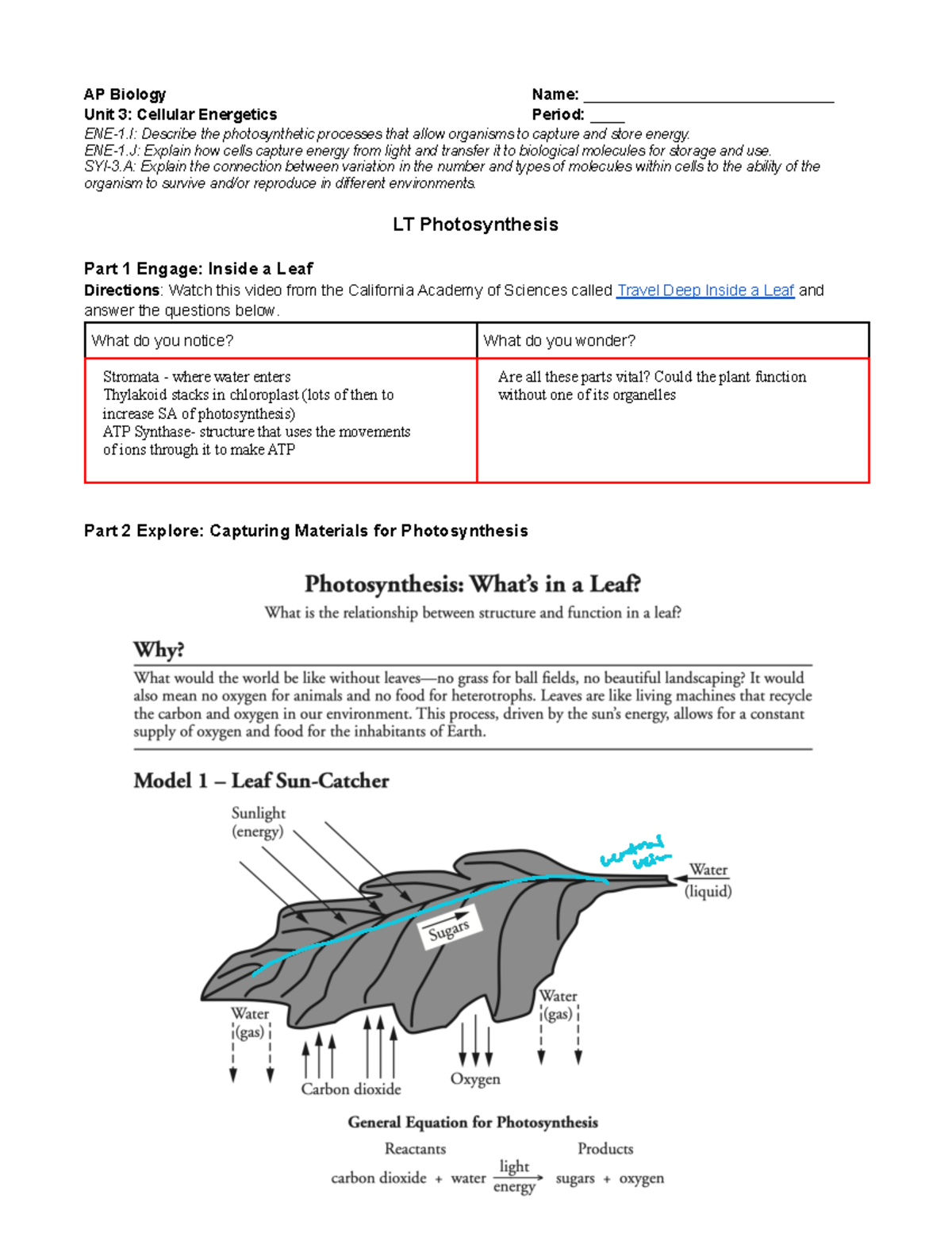 AP Bio U3.5 LT Photosynthesis - AP Biology Name ...