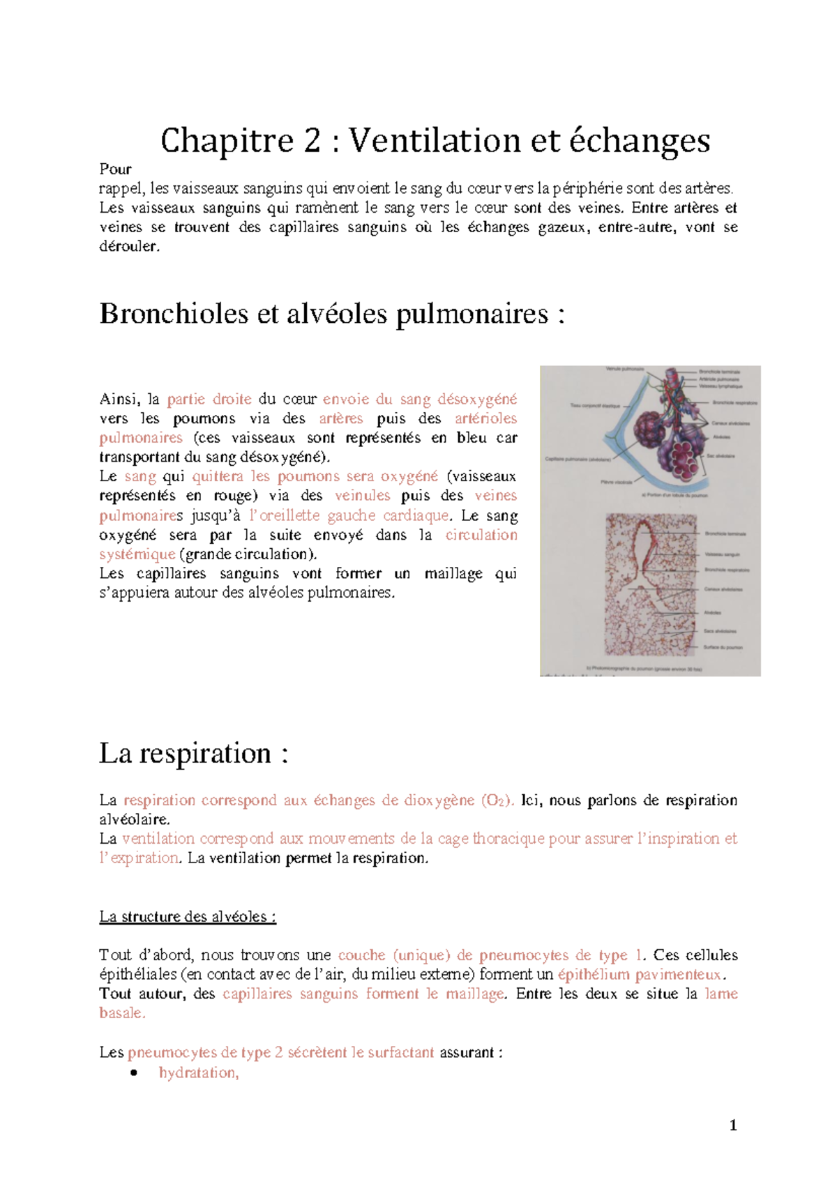 Chap 2 - Ventilation et échanges gazeux appareil réspiratoire - Pour ...